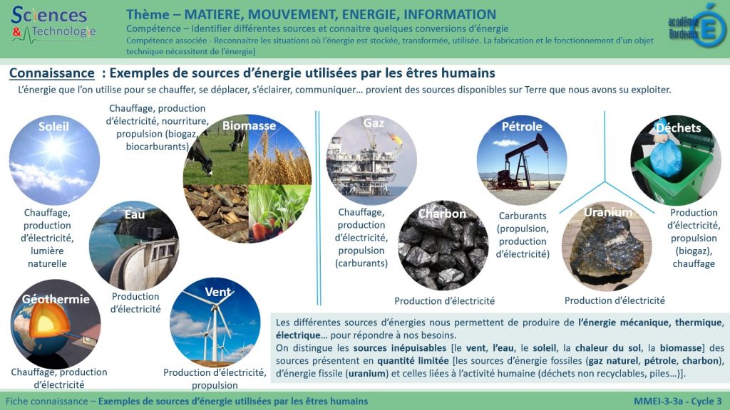 C3-MMEI-3-3a – Exemples de sources d’énergie utilisées par les êtres ...