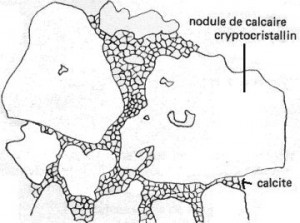 Etude stratigraphique des différents termes de la série – Sciences de ...
